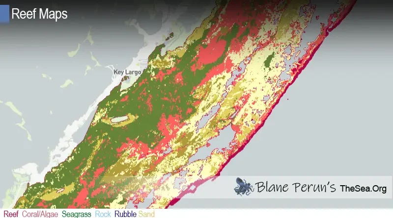 John Pennekamp Coral Reef Park • Blane Perun's TheSea.Org